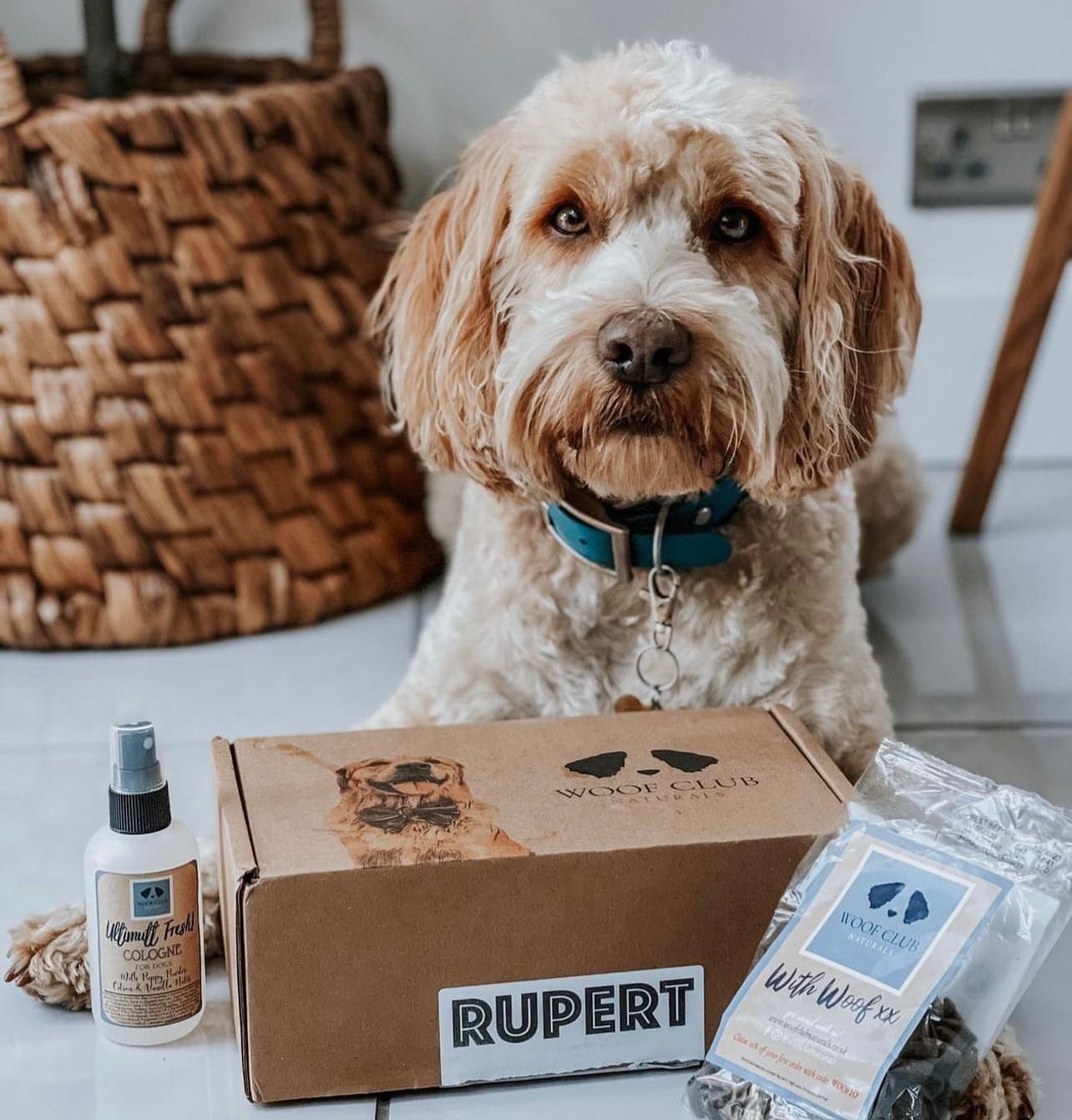 All Products – Woof Club Naturals