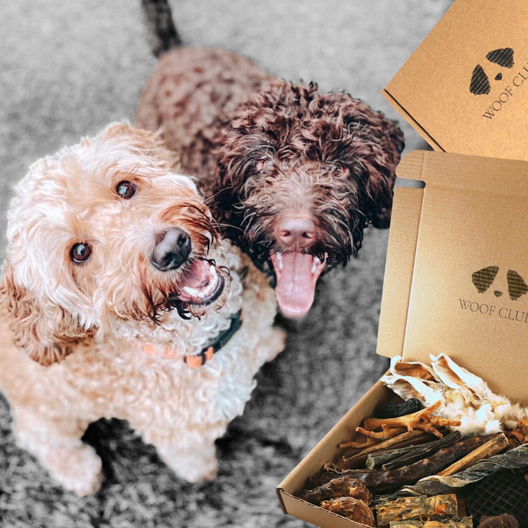 Natural Dog Treats – Woof Club Naturals