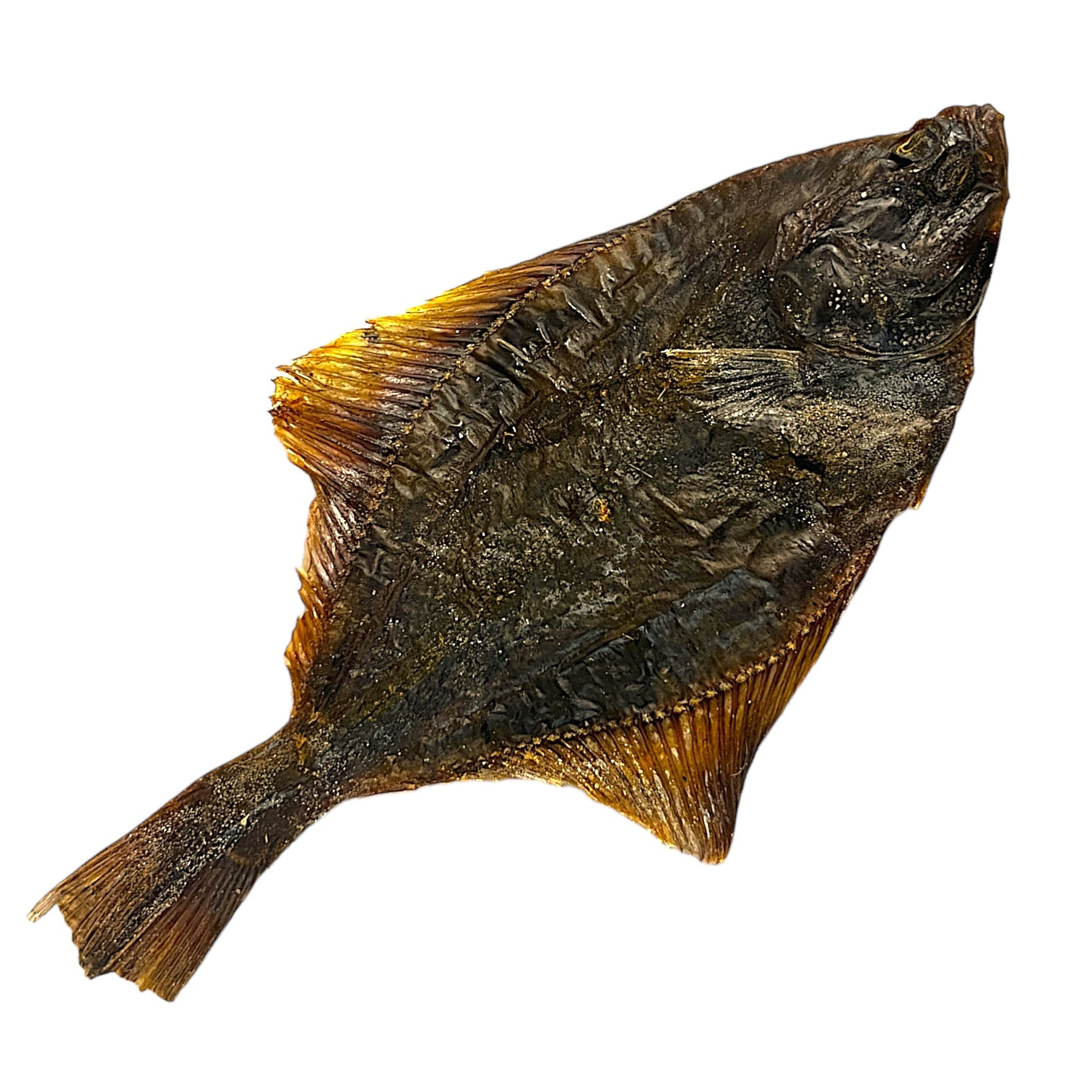 British Whole Flounder Fish – Woof Club Naturals