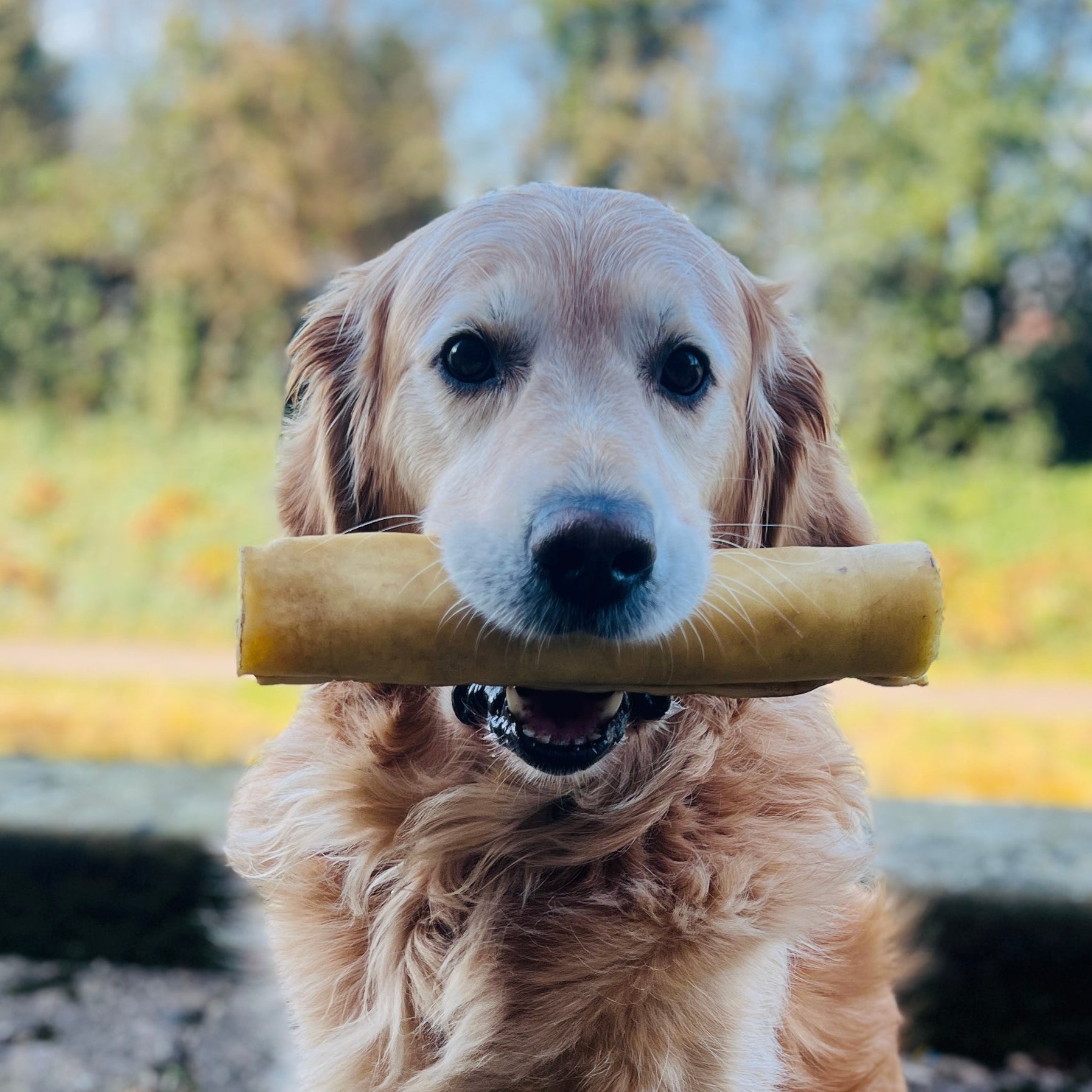 Monster Buffalo Roll – Woof Club Naturals