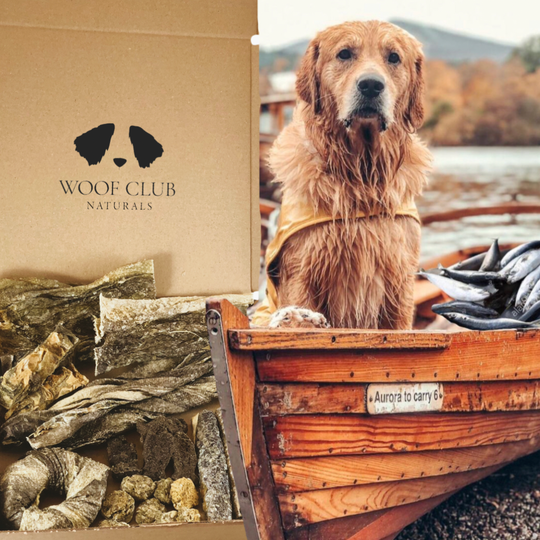 The Ocean Box – Woof Club Naturals