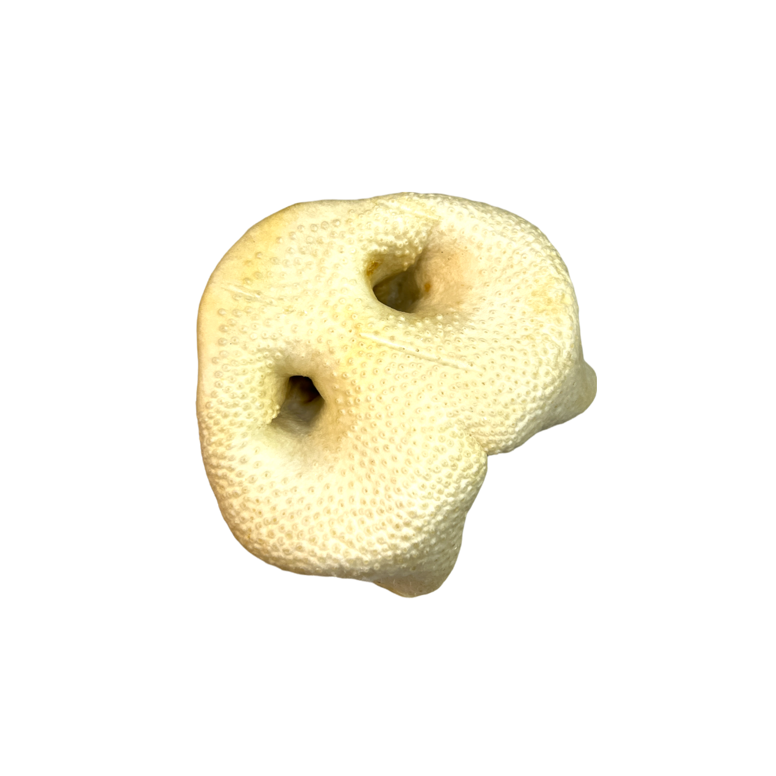 XL Puffed Pig Snout – Woof Club Naturals